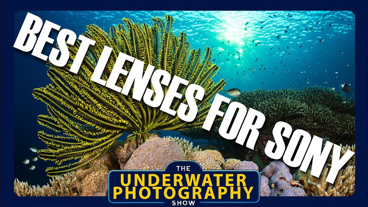 Best Lenses For Full Frame Sony Mirrorless Cameras Underwater. - YouTube