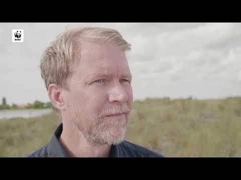 Året der gik 2023 - Havet - WWF Verdensnaturfonden - YouTube