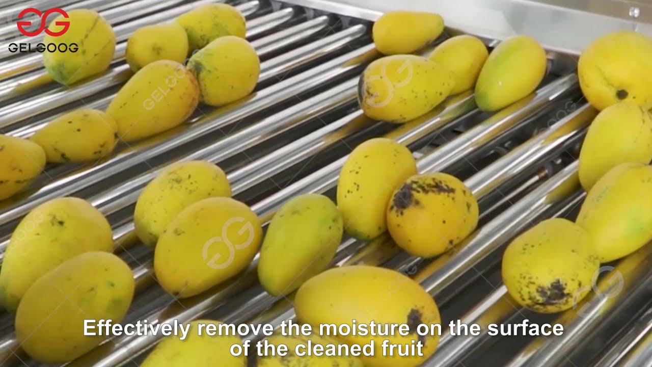 Mango Fruit Washing Waxing Machine Price - YouTube
