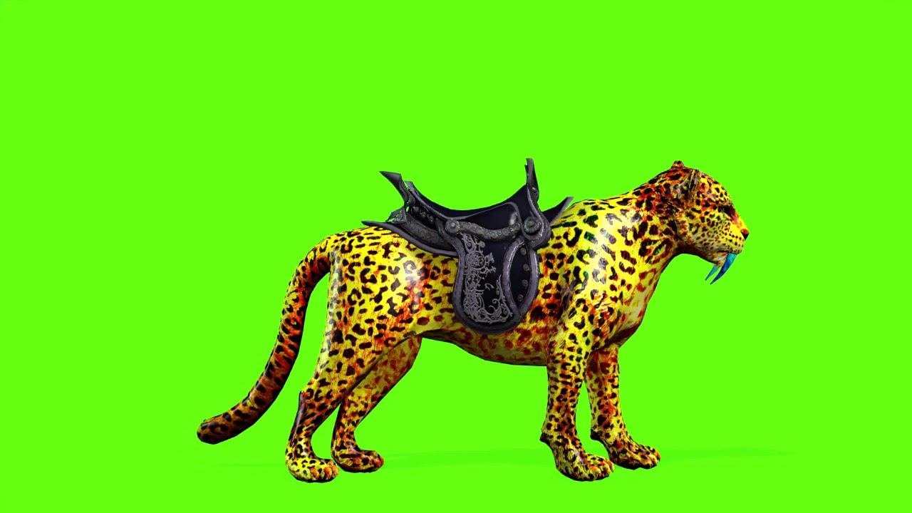 Green Screen Cheetah Animation Cheetah Green Screen Animation - YouTube