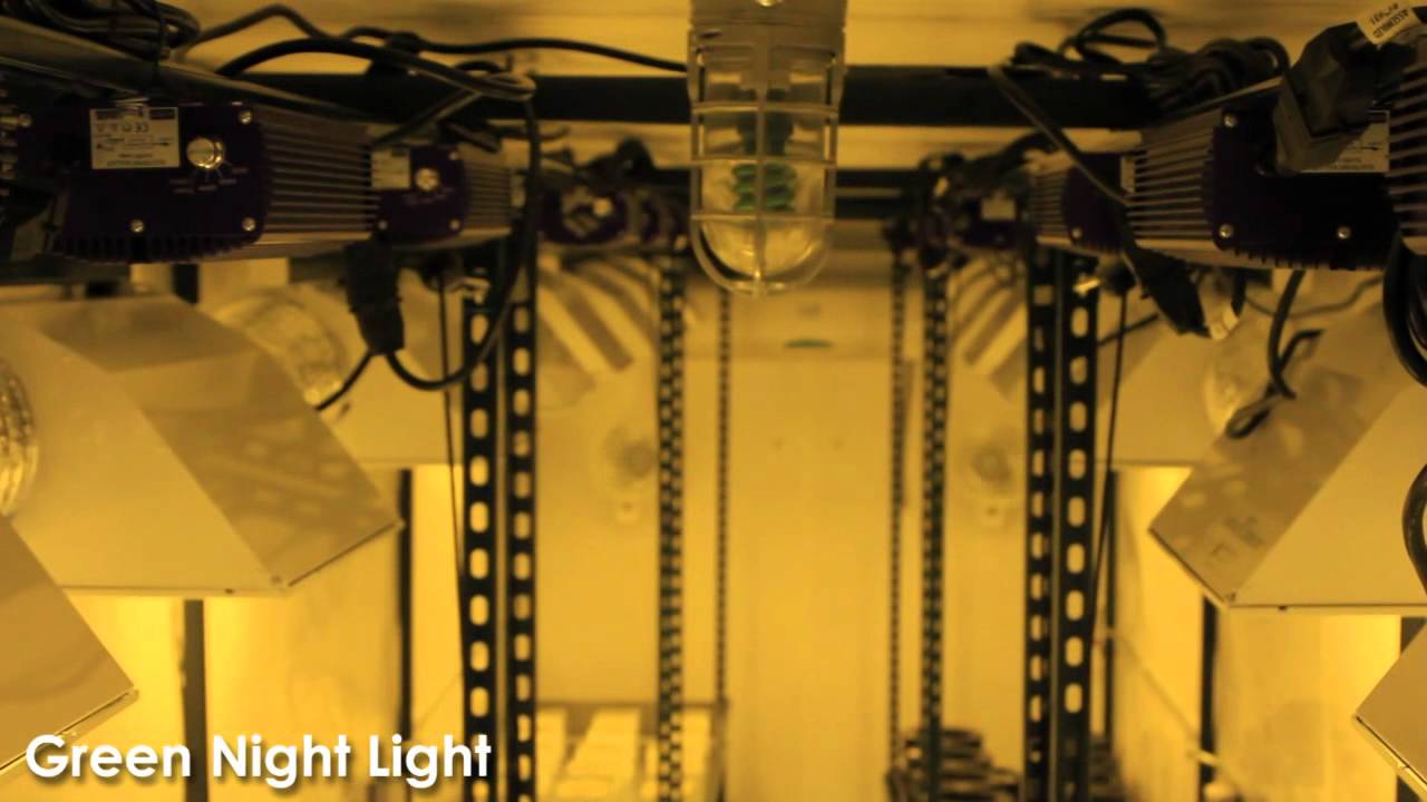 SuperCloset - Super Grow Trailer Container - YouTube