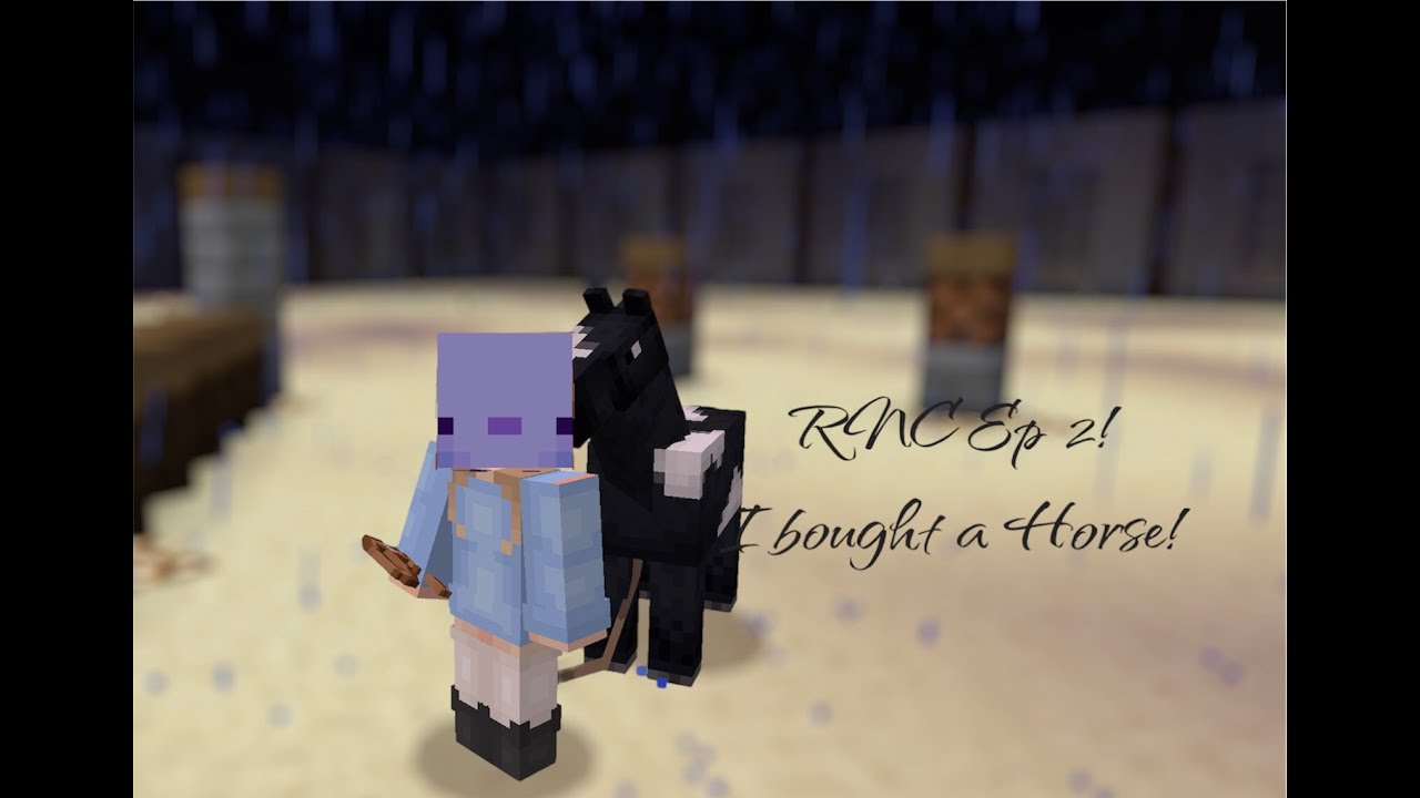 Ranch N Craft - Ep 2 - I bought a Horse! - YouTube