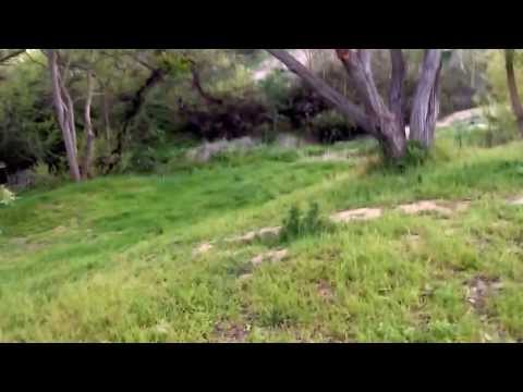 Barkley and Polly in Canyon Park