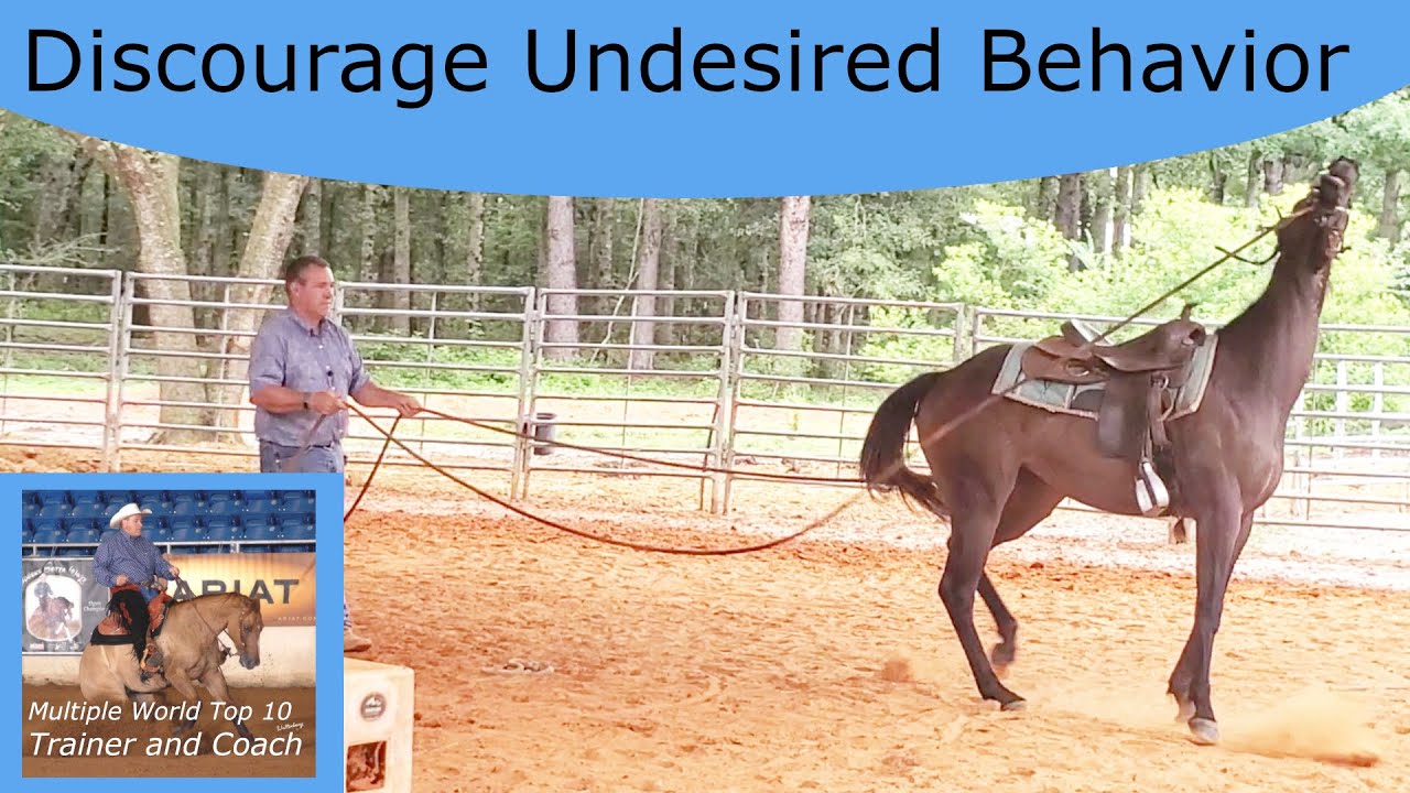 Replace undesired behavior with desired behavior - YouTube