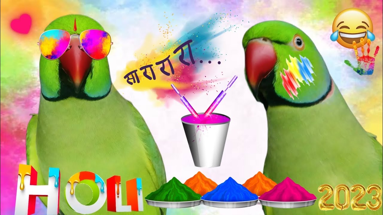 Holi Special 🥳😂 Try Not to Laugh! || Funny Parrot || Holi 2023 ...