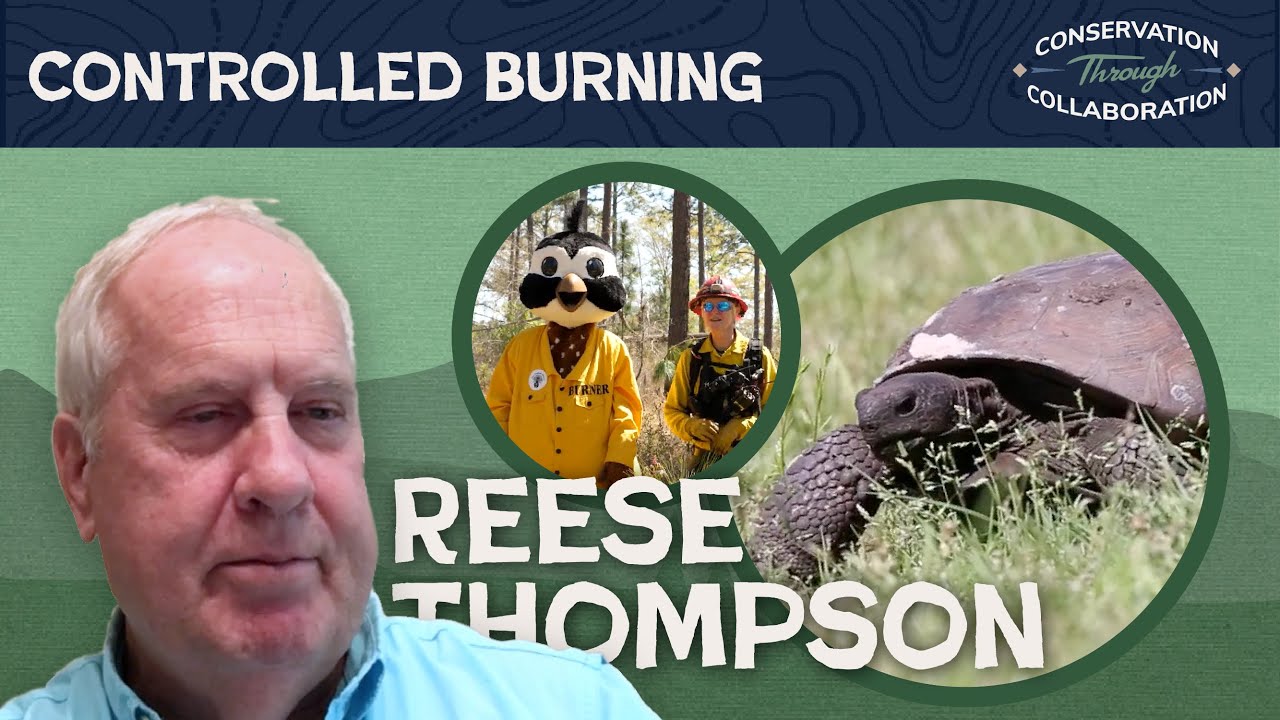 Reese Thompson: Benefits of controlled burning - Conservation Through ...