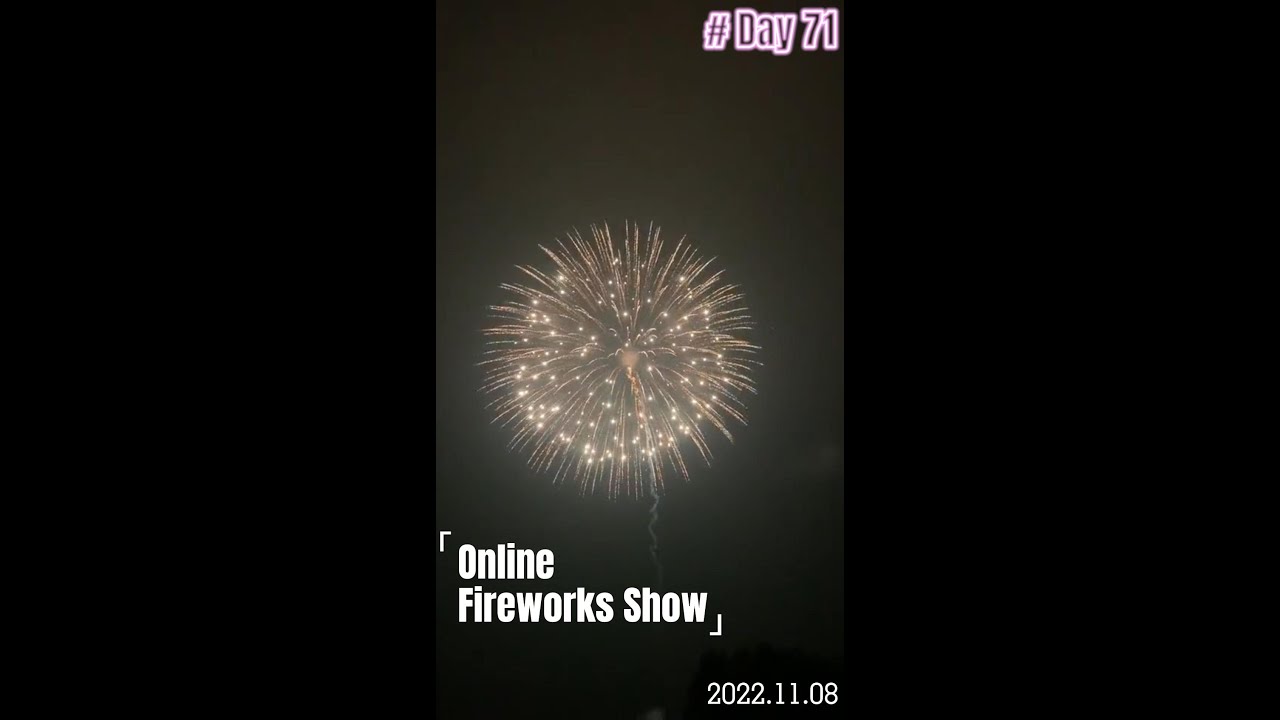 Day 71 | Follow My Channel to Watch Fireworks on YouTube #fireworks # ...