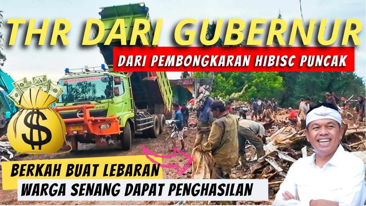 THR DARI GUBERNUR DARI PEMBONGKARAN HIBIS PUNCAK BOGOR - YouTube