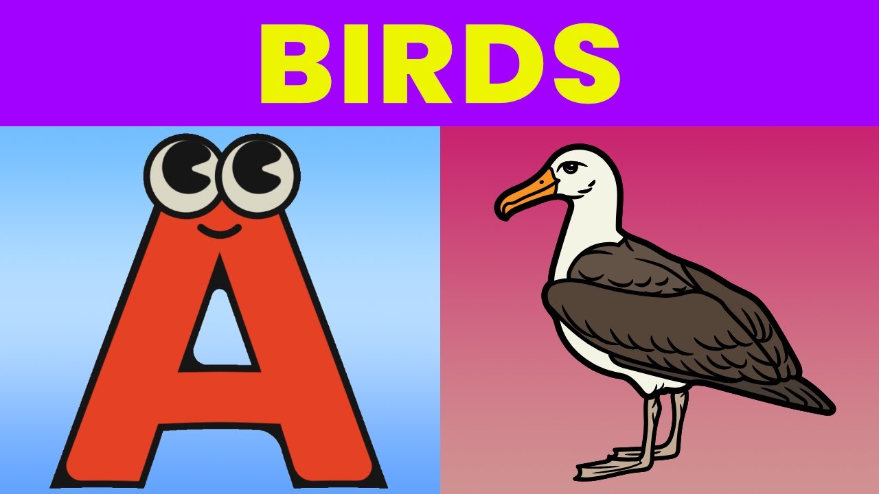 Phonics songs with bird names, abc alphabet songs for children. A to Z ...