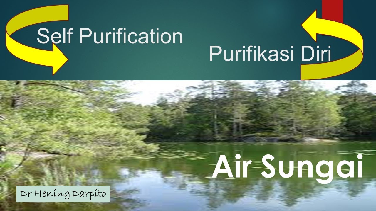Sepintas SELF PURIFICATION atau PURIFIKASI DIRI: Pengetahuan umum - YouTube