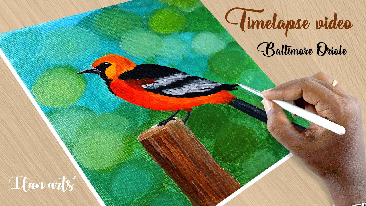 Timelapse / how to paint birds in acrylic / step by step painting ...