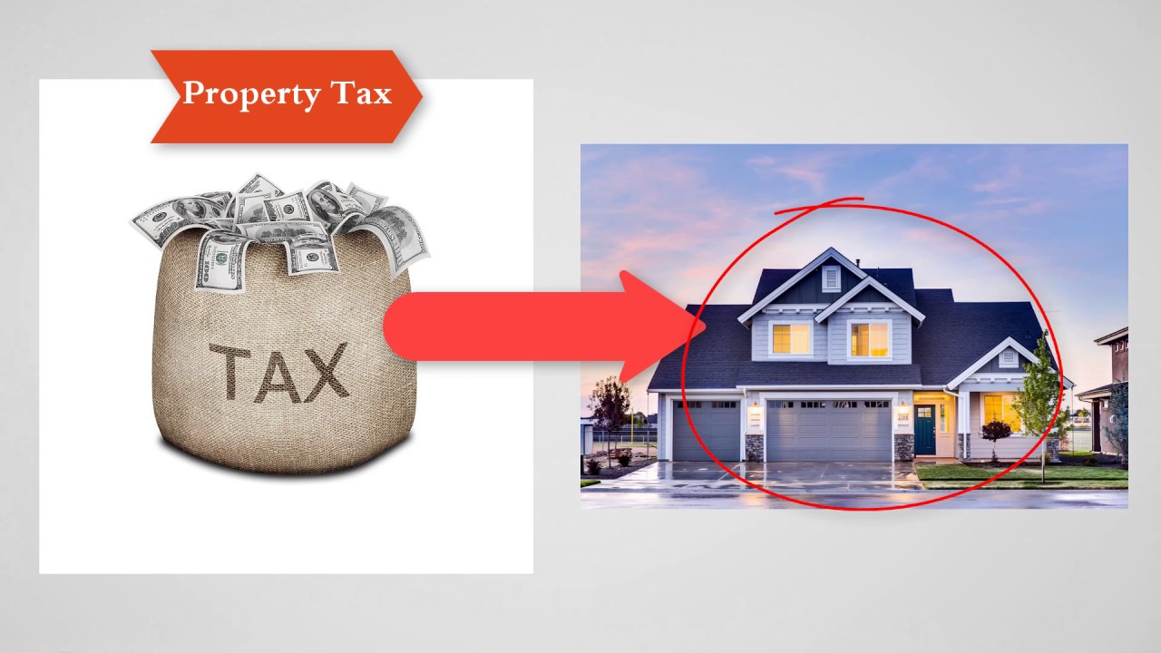 The Legislative Branch at the Local Level - YouTube