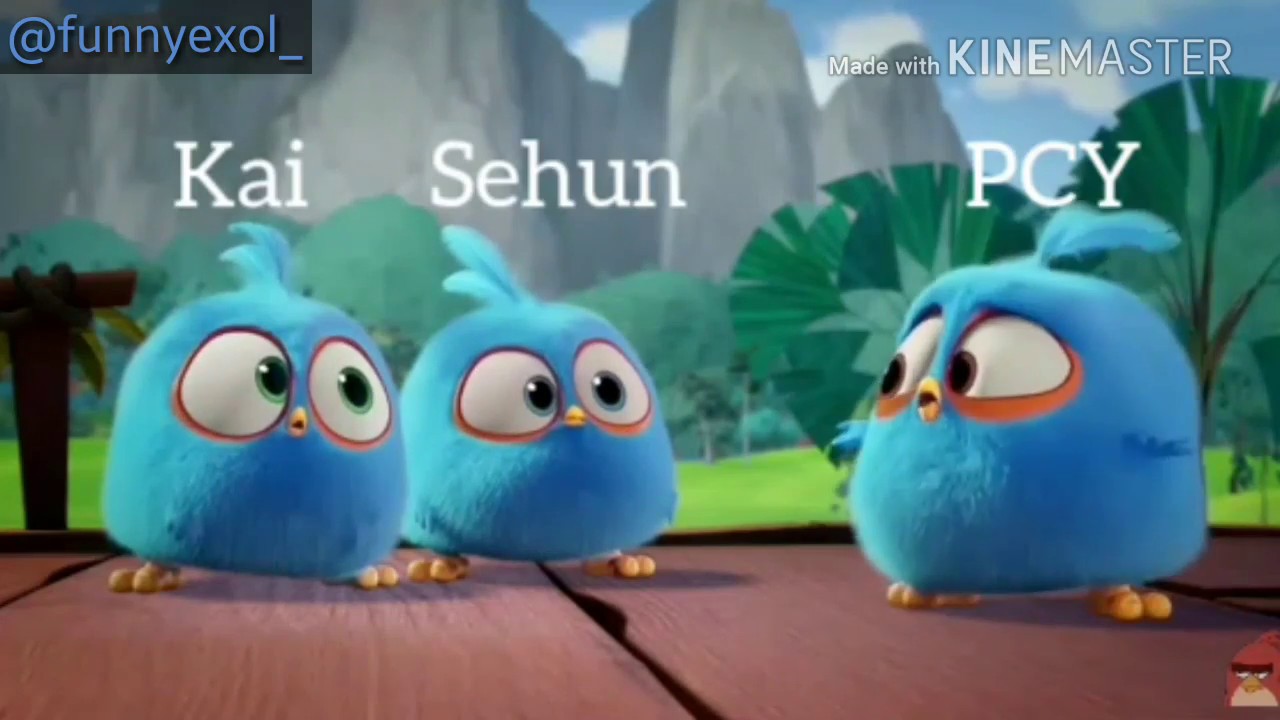 EXO as Angry Birds / Cute Baekhyun - YouTube
