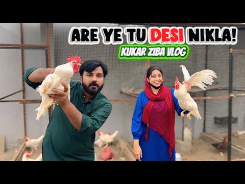 Murghi Ziba Kar Dali! Hamary Dogy Ne Murgha Pakar Liya