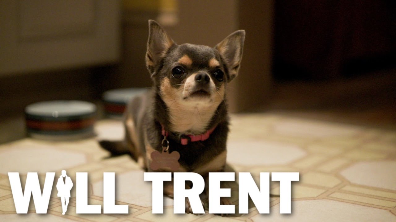 Exclusive Clip: ABC's "Will Trent" (Episode 5) – Betty Watches Will ...