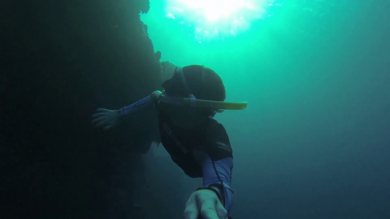 Columbia Reef. Cozumel (by Snorkeling Quest) - YouTube