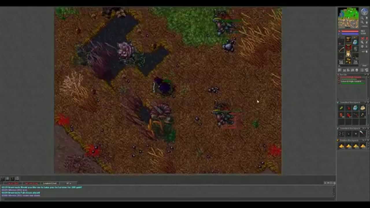 Let's Play Tibia: High Lizards in the Muggy Plains. (ENG) - YouTube