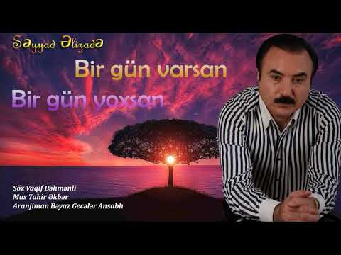 Seyyad Elizade - Bir gün varsan, Bir gün yoxsan (Official Audio)