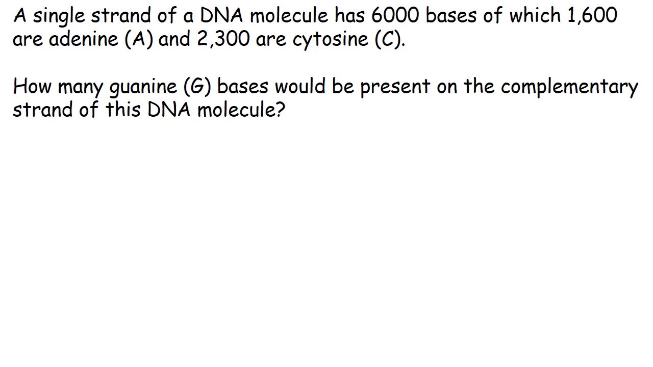 DNA Bases - Problem Solving - National 5 Biology. - YouTube
