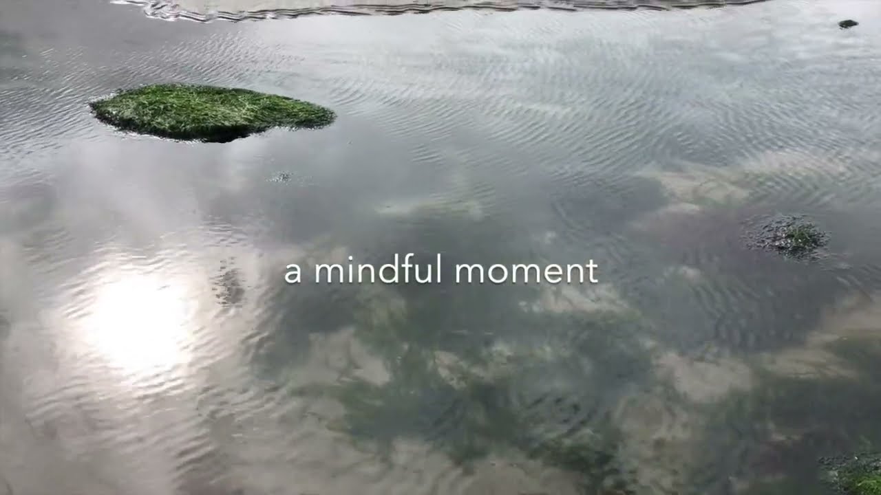 A Mindful Moment: Every ripple of kindness... - YouTube