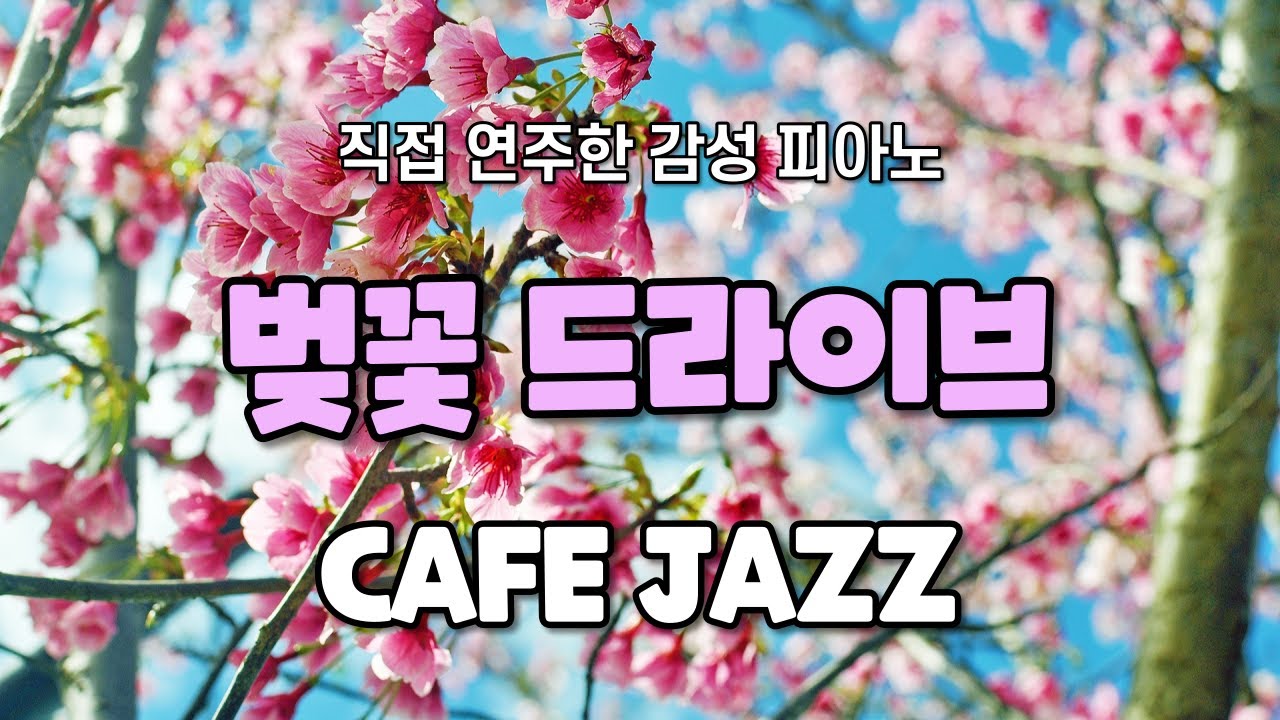 벚꽃 드라이브☕ 카페재즈음악🥤커피숍음악봄에 듣는 재즈피아노 음악힐링공부수면음악cafe Bgm🥤 직접 연주한 감성 재즈피아노 Youtube