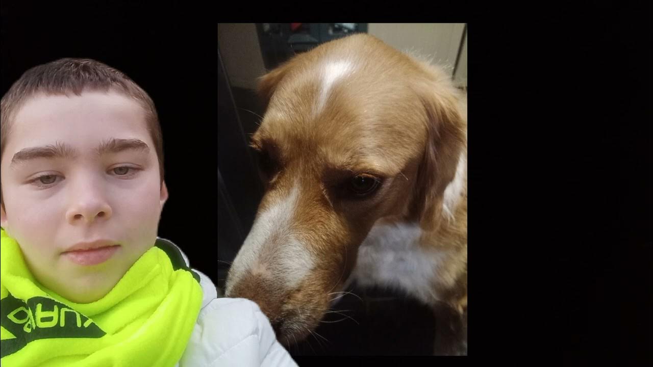 Nico mon chien extraordinaire. clip , officiel - YouTube