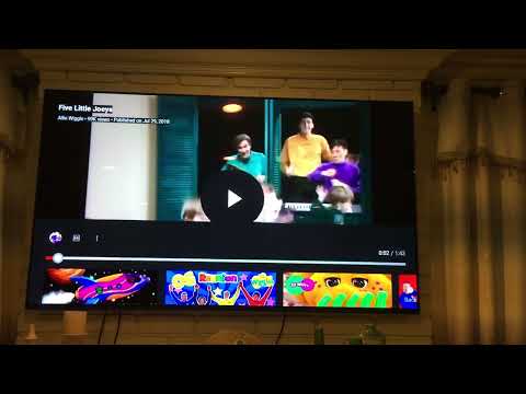 Baby Einstein Baby Mozart Music Festival 2011 DVD