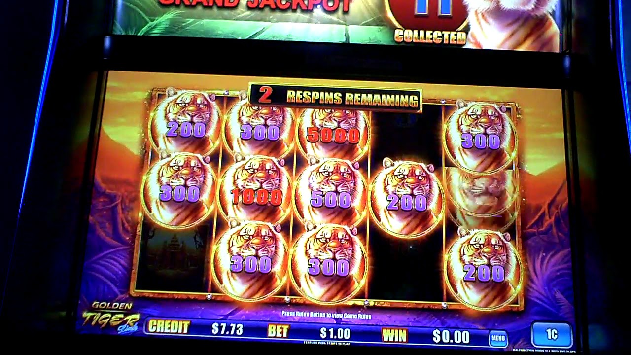 Golden Link Slot Machine NICE WIN Bonus - YouTube