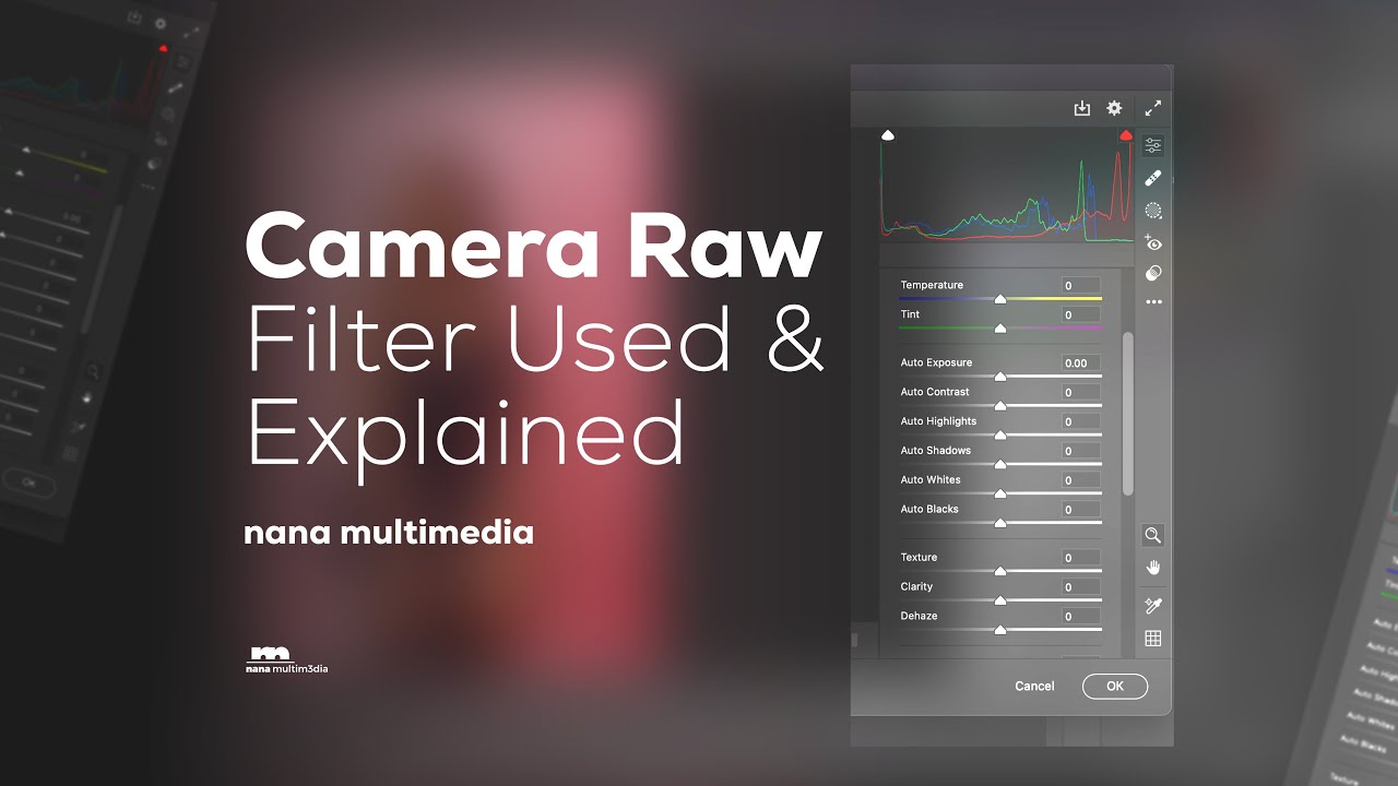 Photoshop Camera Raw Filter Used & Explained | Nana Multimedia ...
