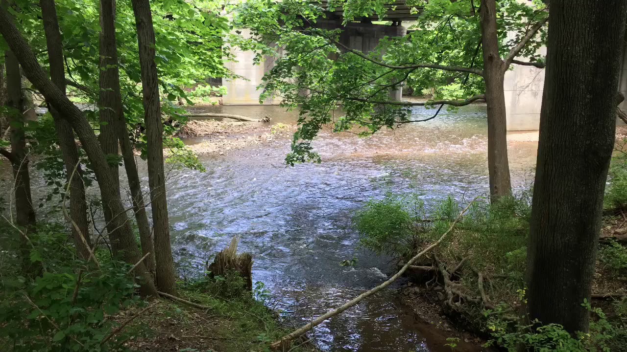 Hunts Mill Park - YouTube