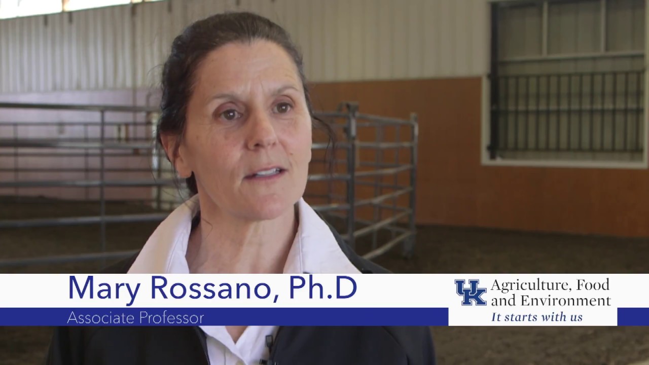 It Starts With Us - Mary Rossano - YouTube