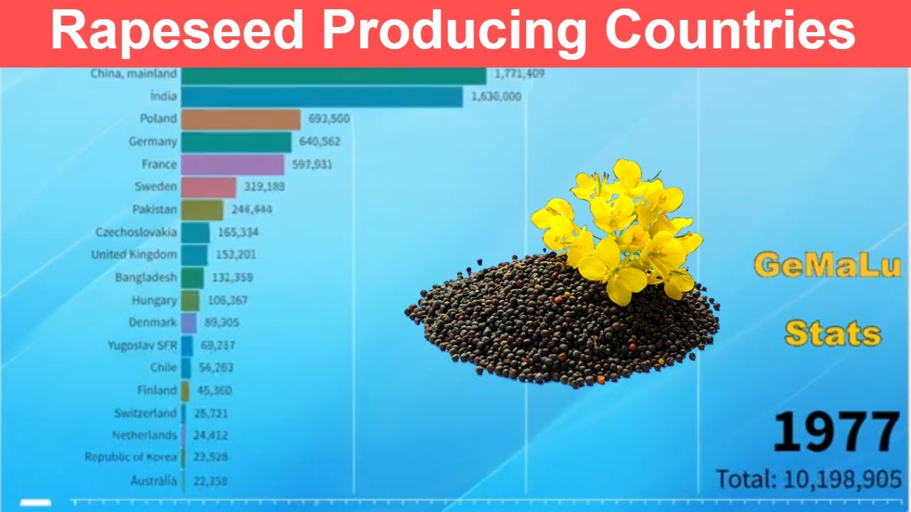 Rapeseed Producing Countries - Highest Rapeseed production in the World ...