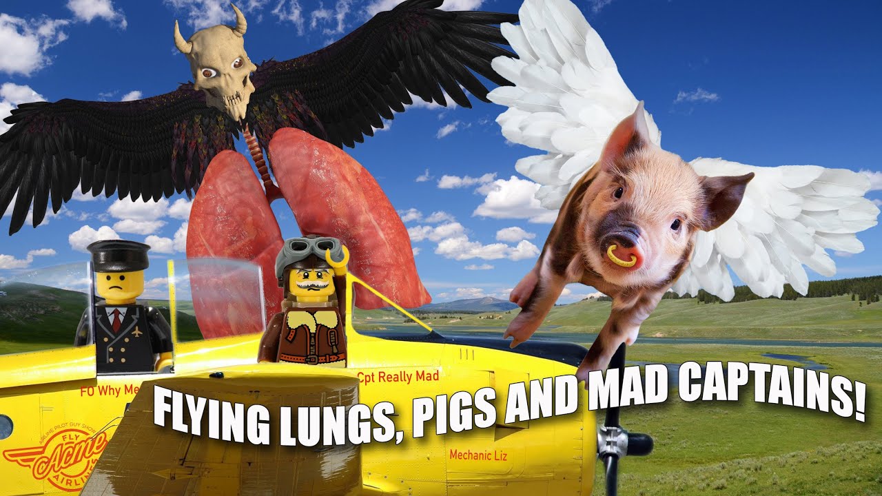 APG 495 - Flying Lungs, Pigs, and Mad Captains! - YouTube