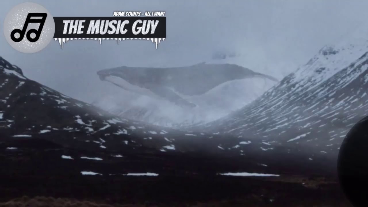 Sarah Blasko All I Want Blue Whale
