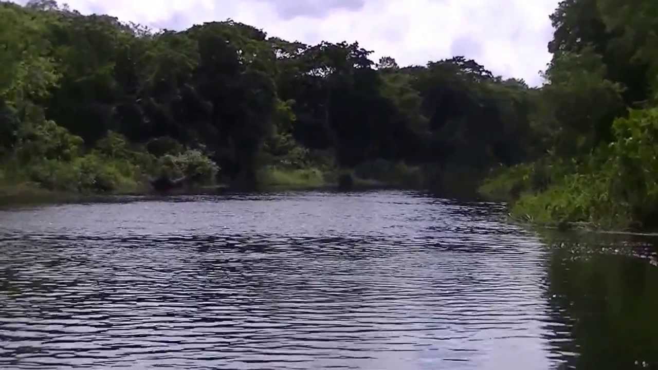 Kajak adventure ( Coropina kreek - Para rivier ) - YouTube