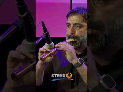 Hozan aydin dengbej dilber 2024