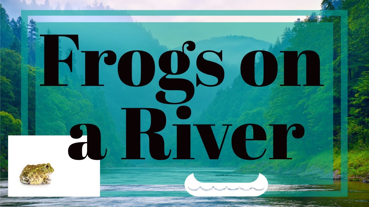 FROG SOUNDS ON A RIVER | Yep that is what it is | 20 Minutes of ...