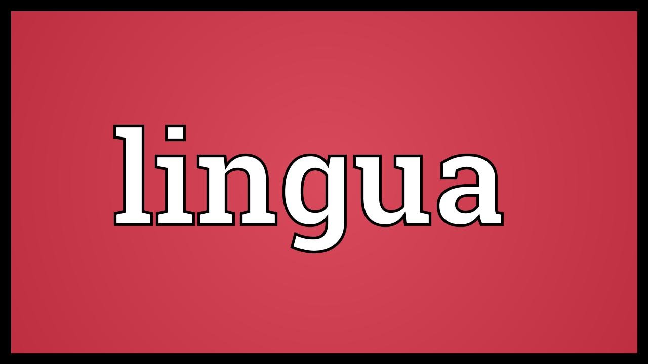 Lingua Meaning - YouTube
