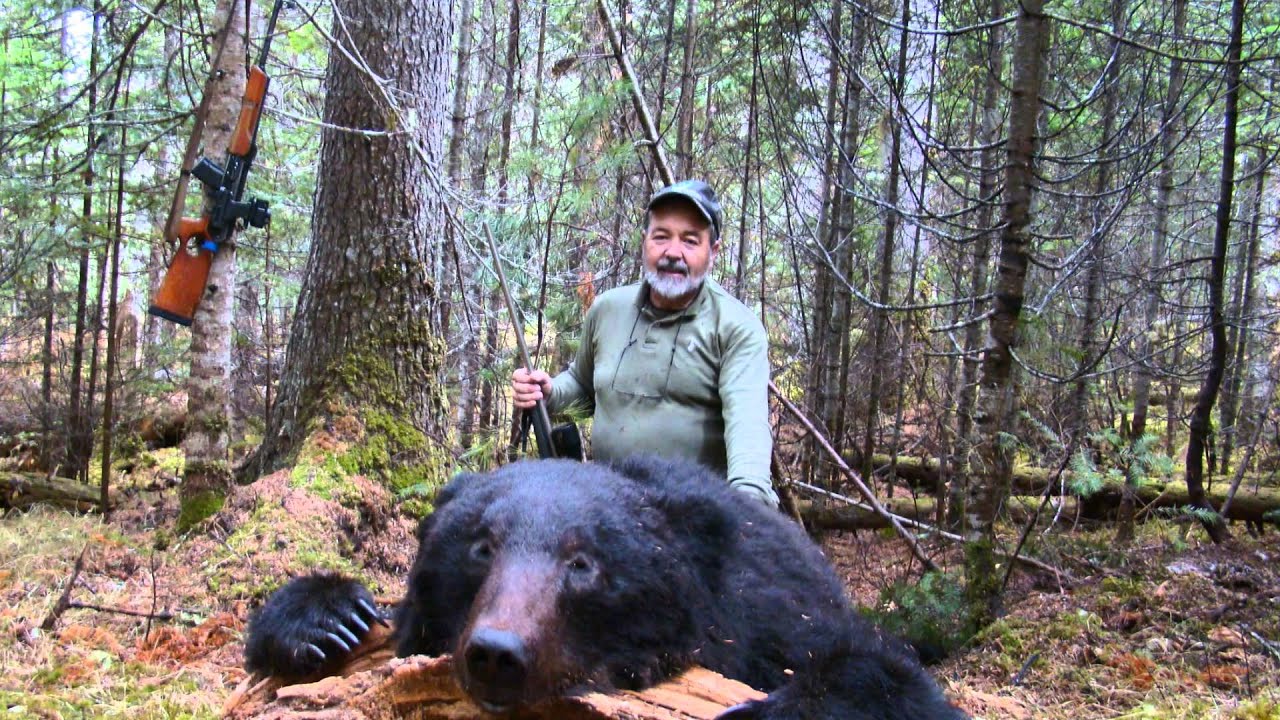 Amur bear hunt with Sergey outfitter - YouTube