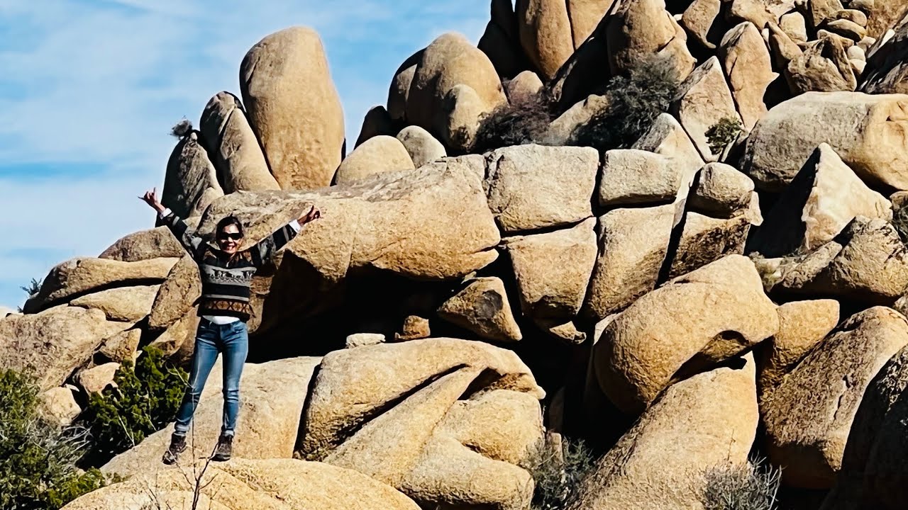 Visit to Palm Springs and Joshua Tree National Park, California, Nov ...