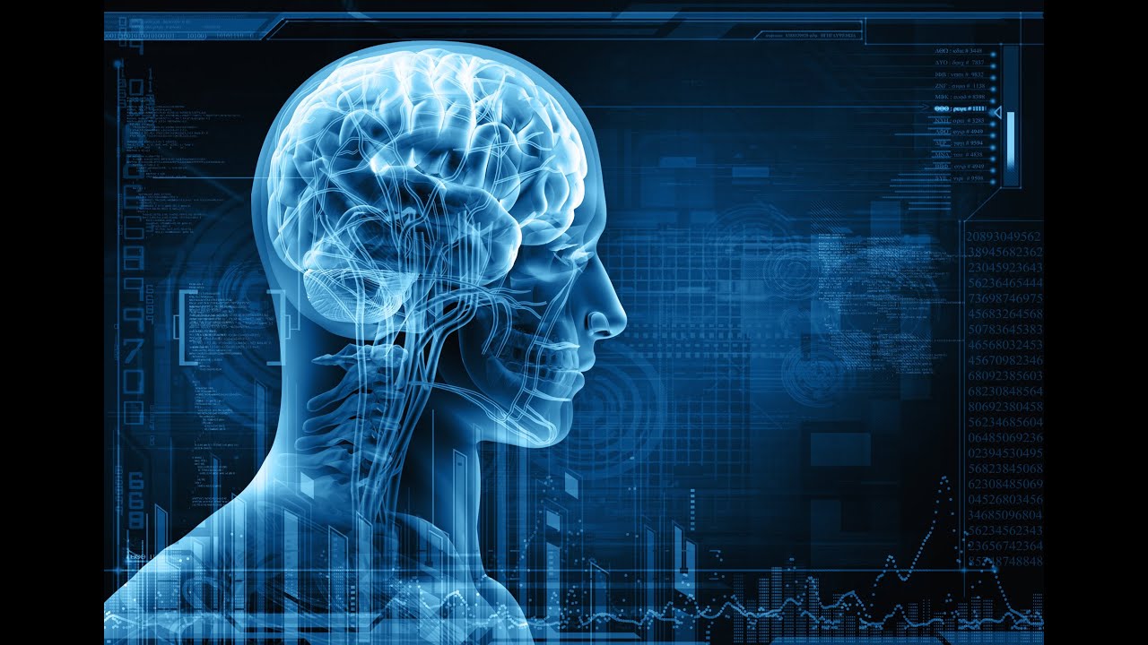 Understanding Human Conditioning - YouTube