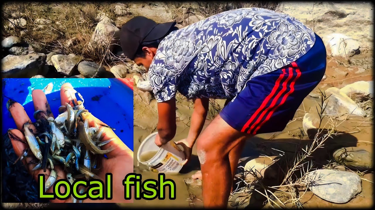 We catch 1kg Local Fish In seti Gandaki || Nepal - YouTube