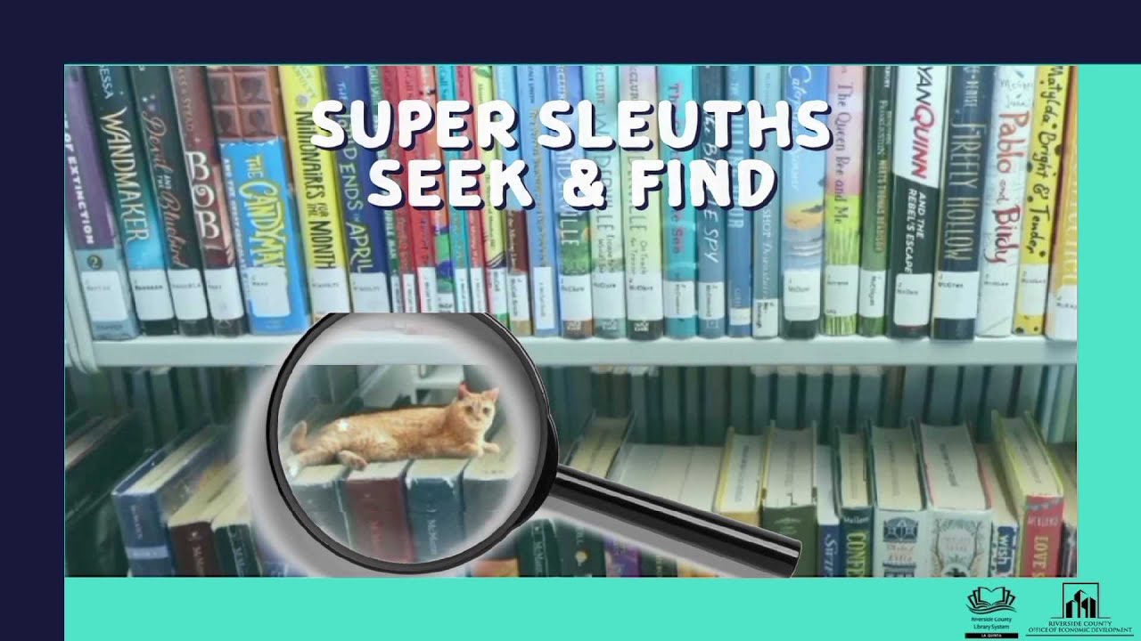 Super Sleuths Virtual Find & Seek: June Edition - YouTube
