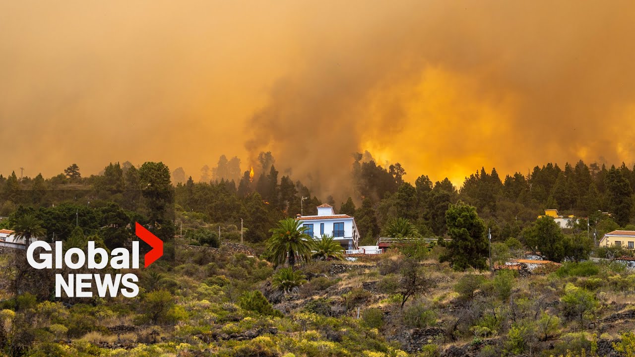 Canary Islands wildfire: Thousands of people evacuated as more than ...