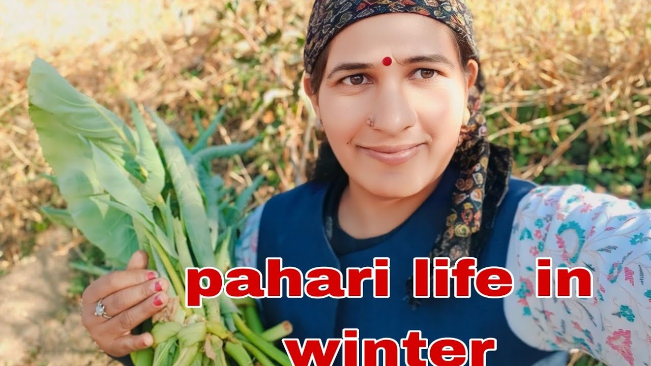 Autumn Session 🍁🍁🍁|| Pahari village life in winter || himachali mountain Life - YouTube