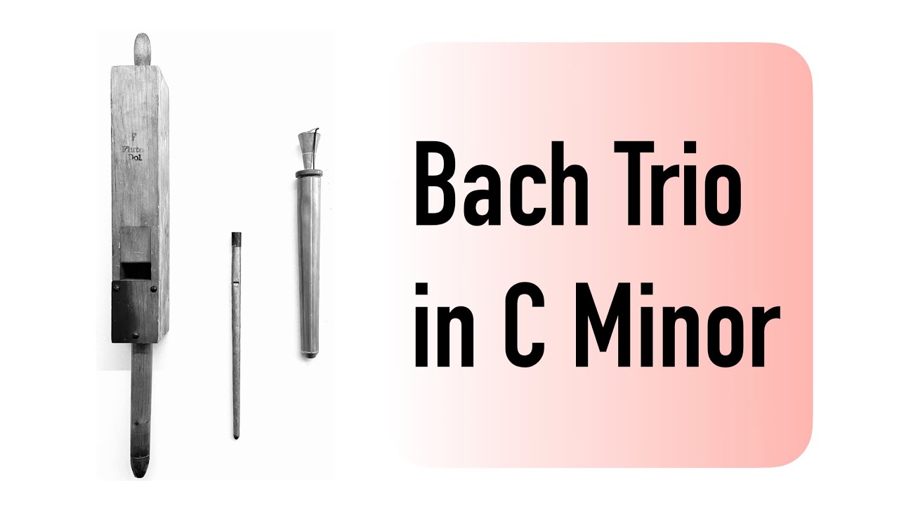 Bach Sonata 2 in C Minor - YouTube