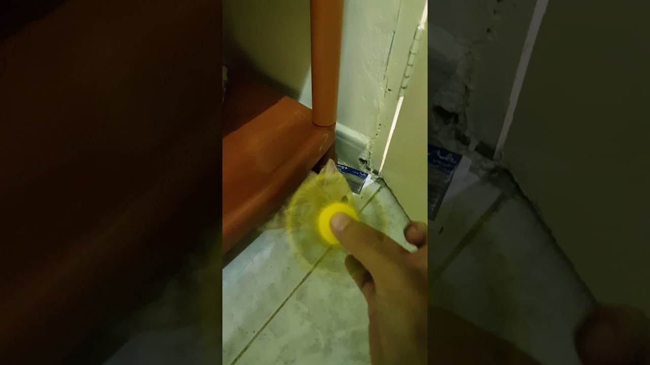 Cat scared of fidget spinner!!! - YouTube