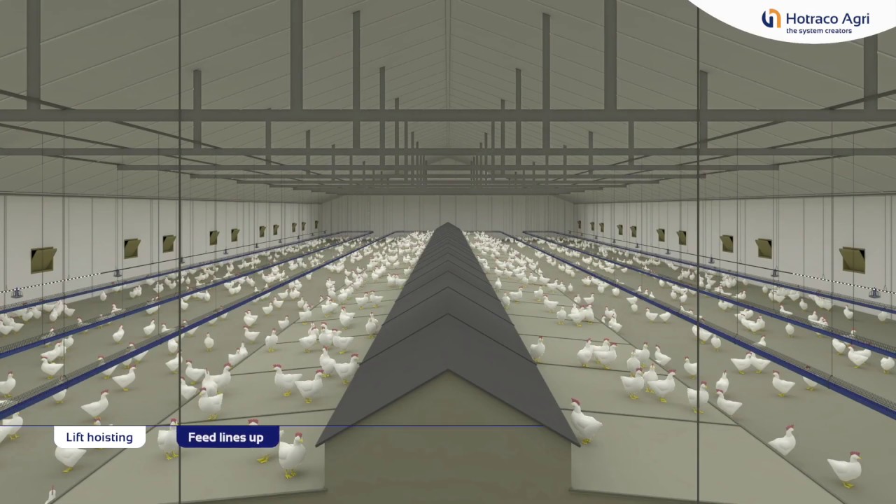 Lift control of feed and drink lines in poultry houses - YouTube