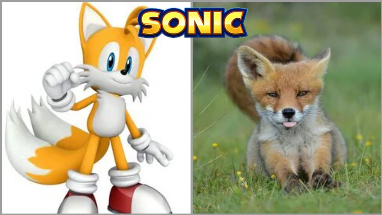 Sonic In Real Life // Sonic the hedgehog | Chapter 2 - YouTube