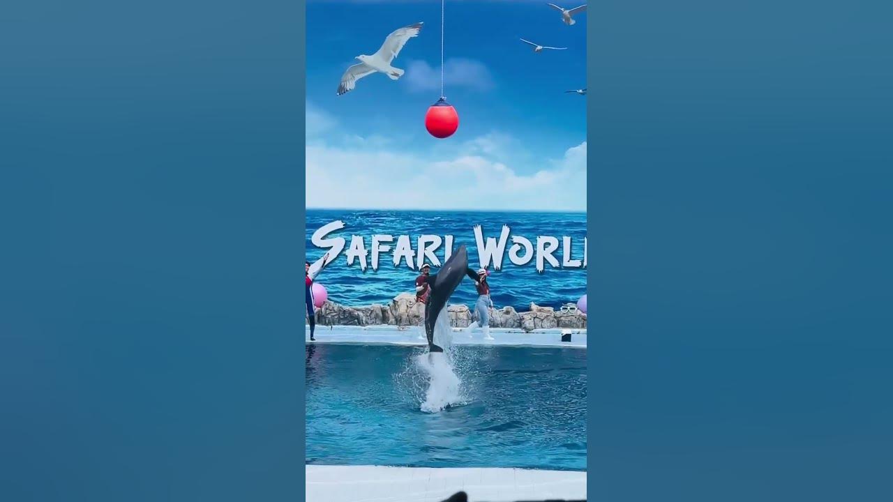 safari world - YouTube